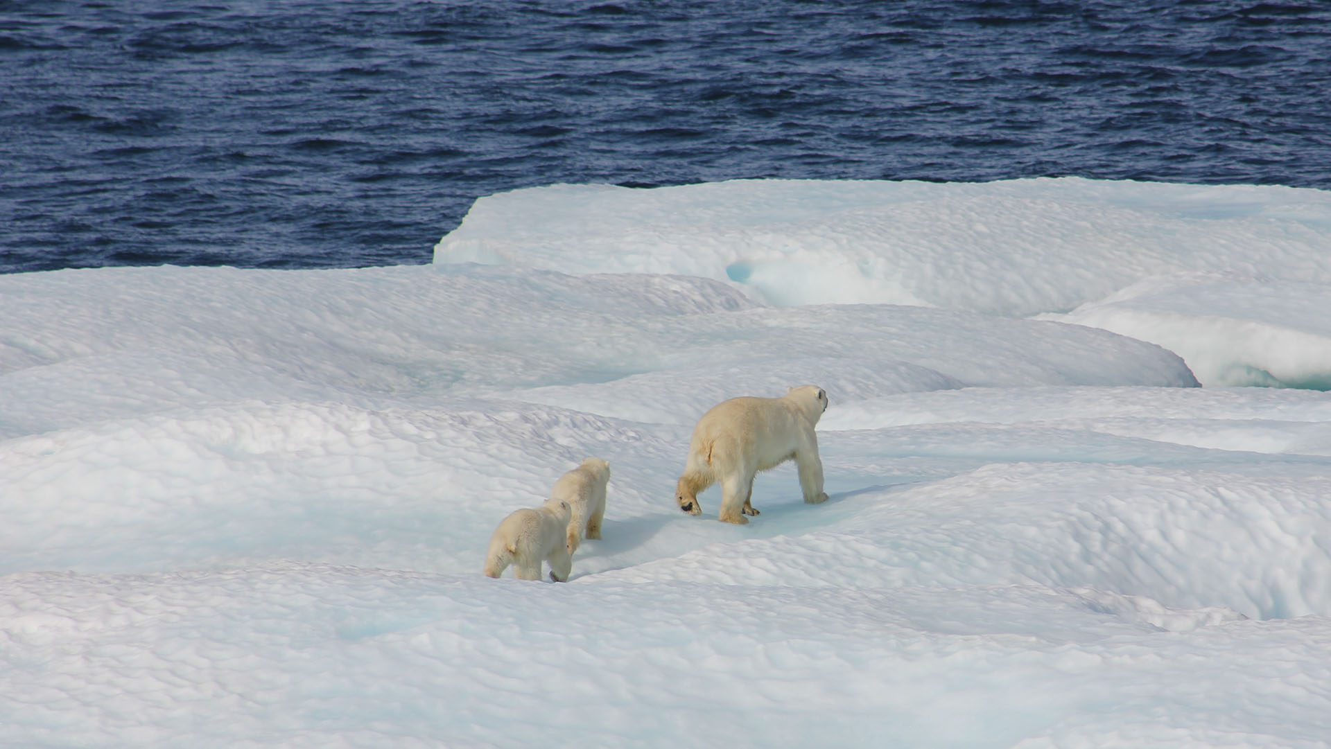 Understanding Arctic Sea Ice Loss The Alan Turing Institute