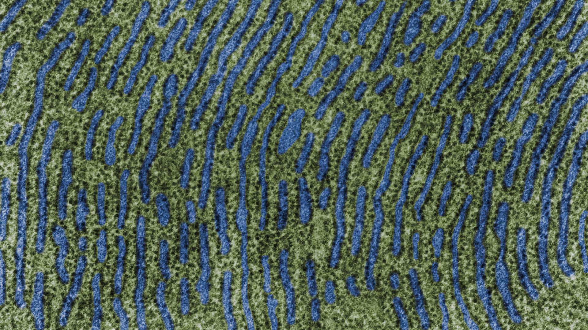 Machine Learning And Large Cryogenic Electron Microscopy Data Sets The Alan Turing Institute