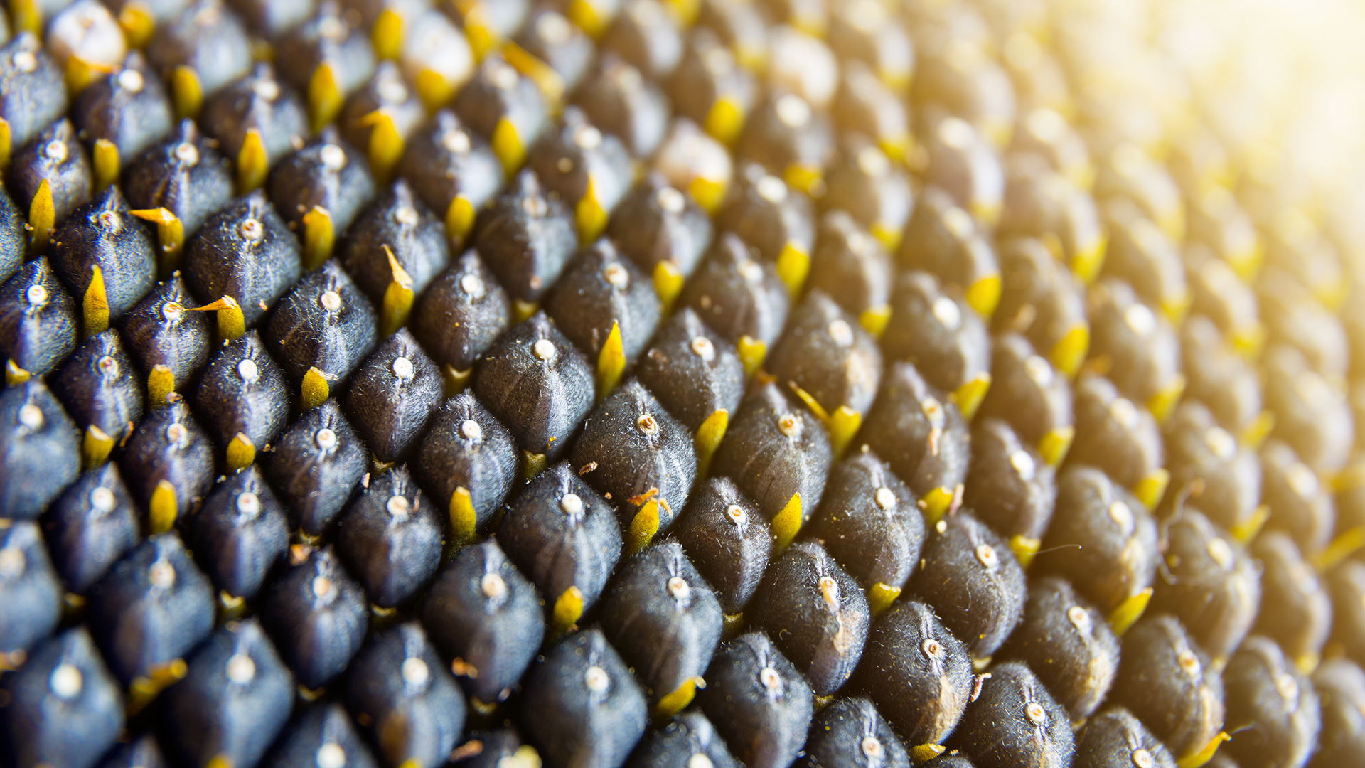 How AI can see the natural world in ways humans can’t | The Alan Turing ...