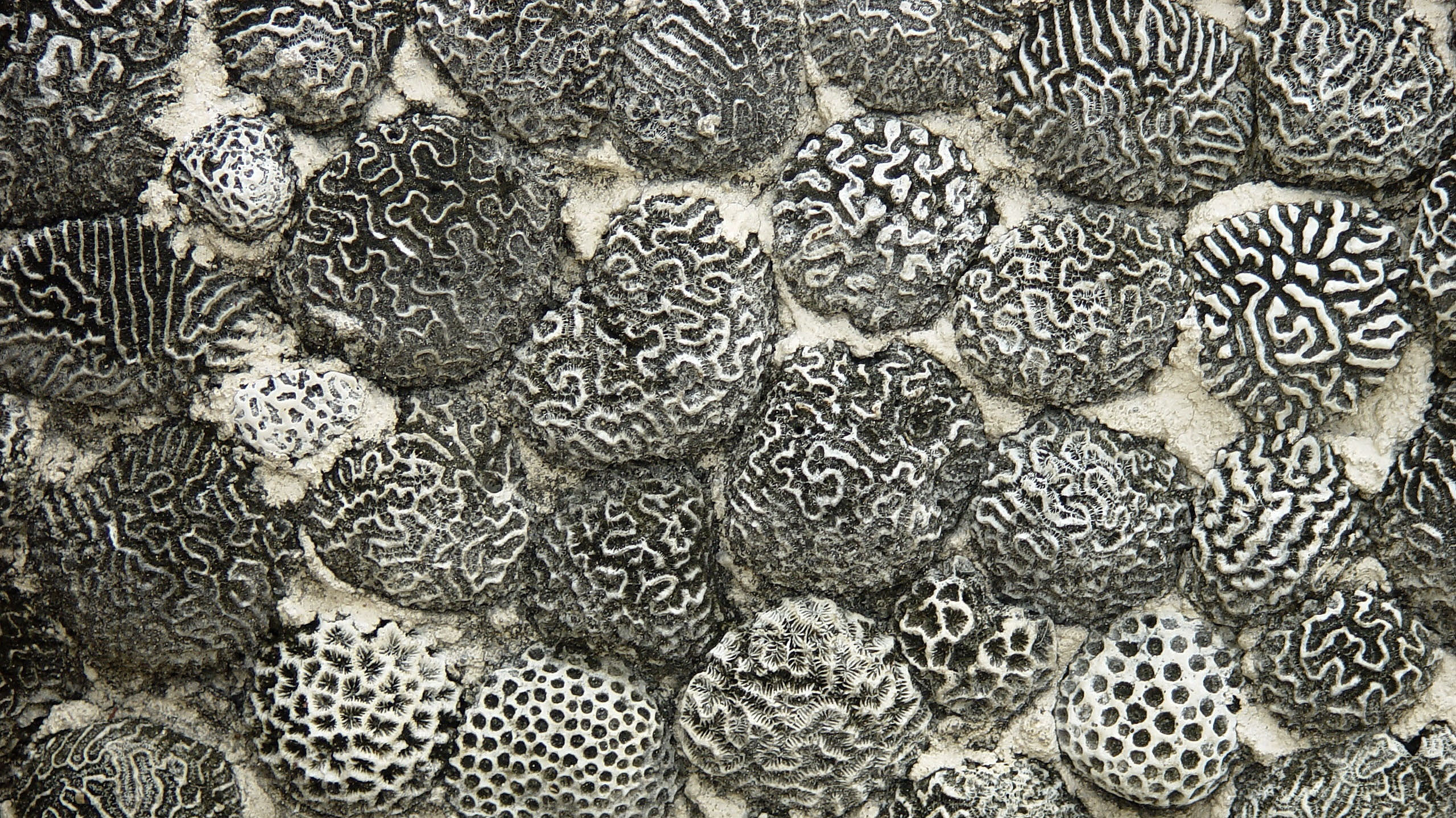 Facts don’t change minds – and there’s data to prove it | The Alan ...