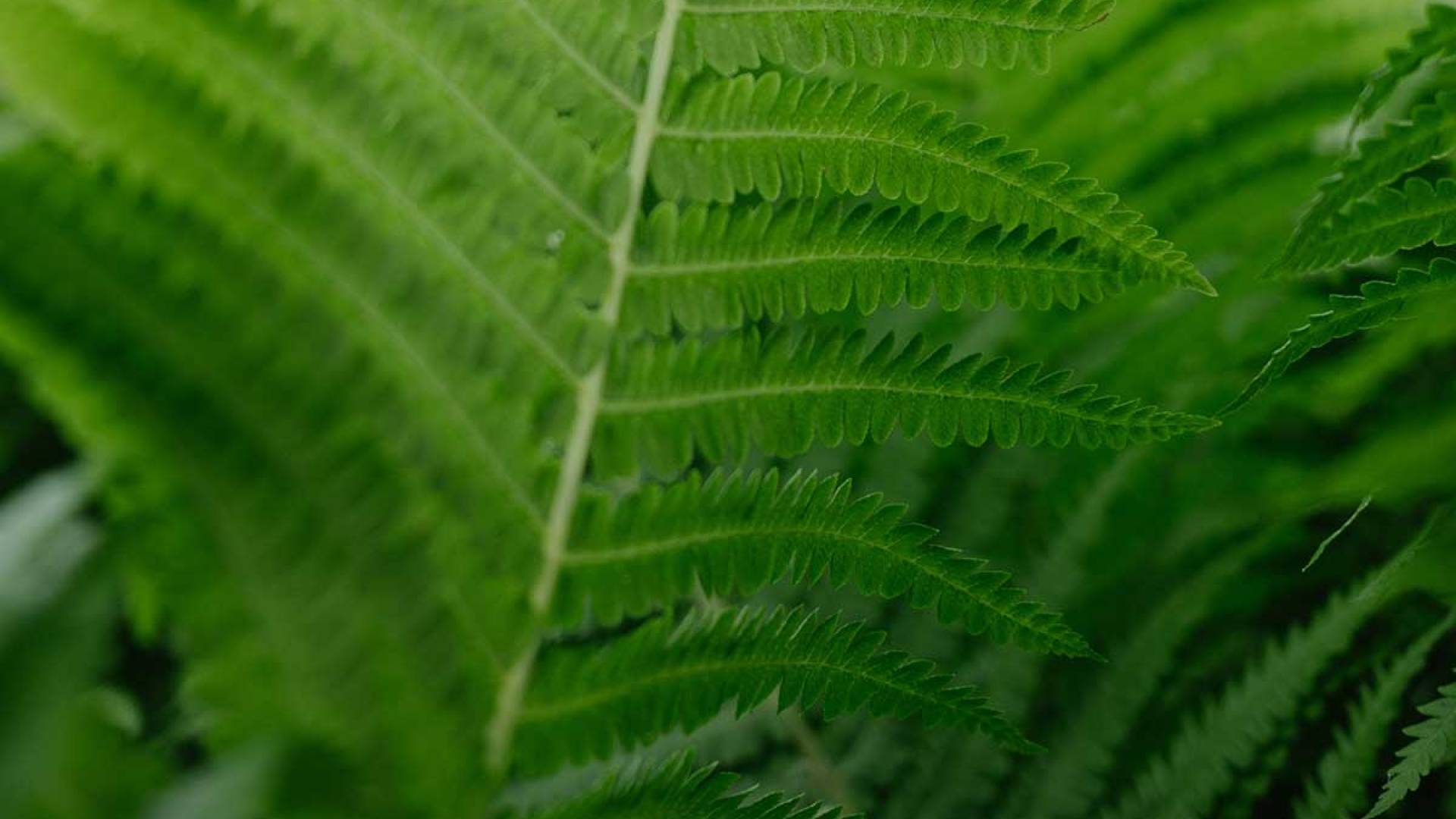 Home | The Alan Turing Institute