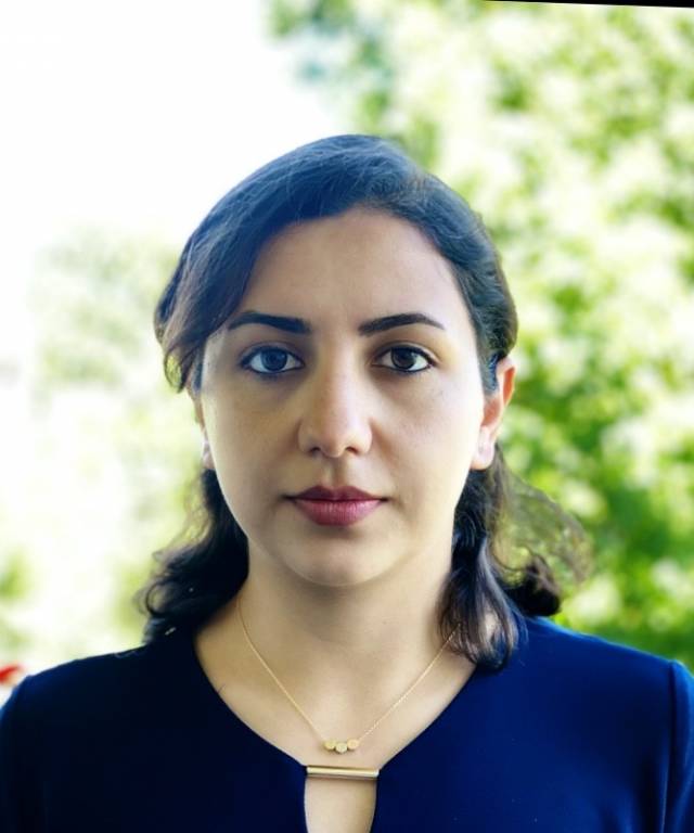 Samaneh Abbasi | The Alan Turing Institute