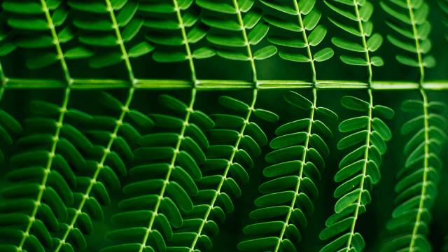 The importance of reproducibility in environmental science | The Alan ...